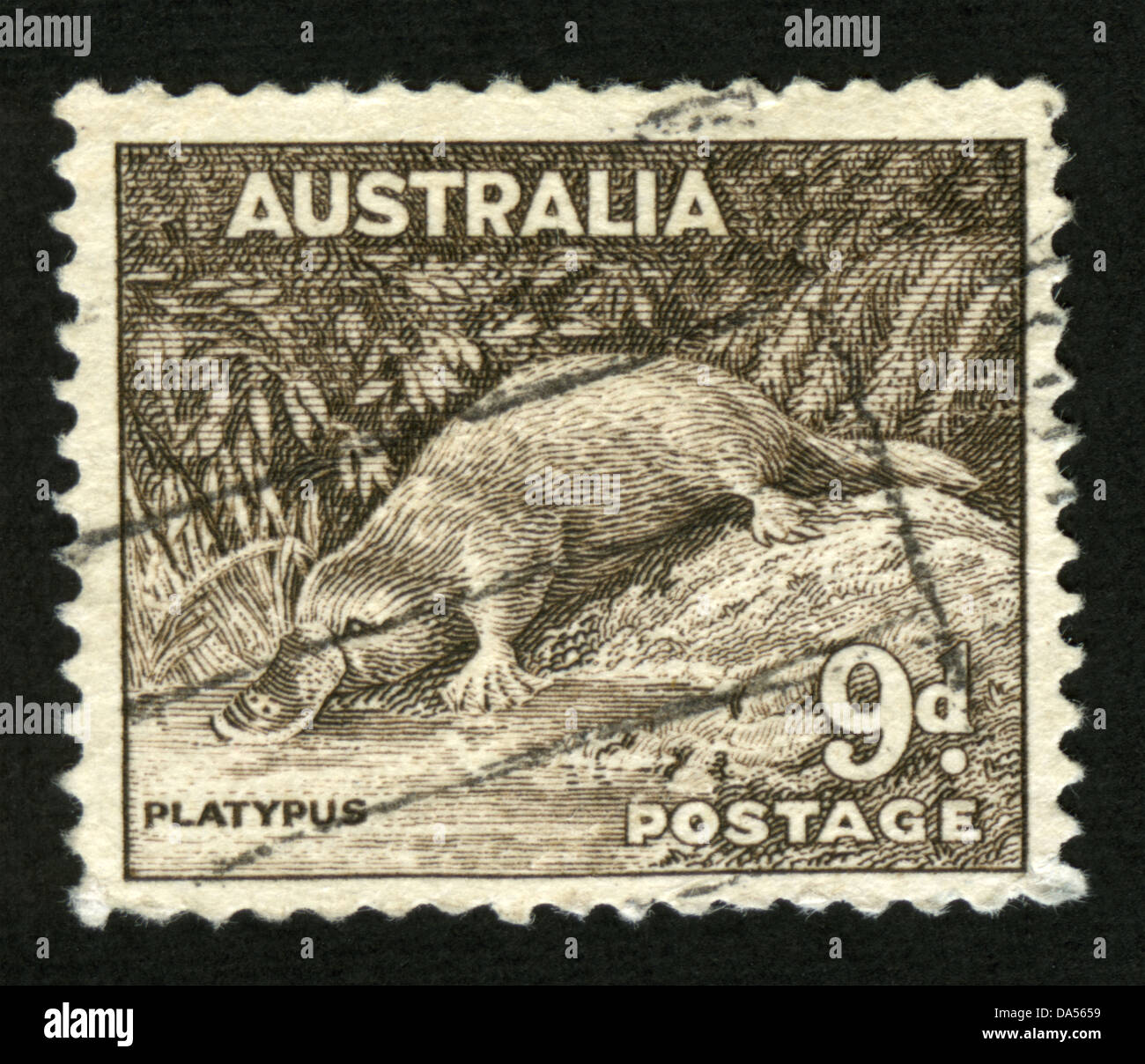 Platypus australia postage stamp hi-res stock photography and images ...