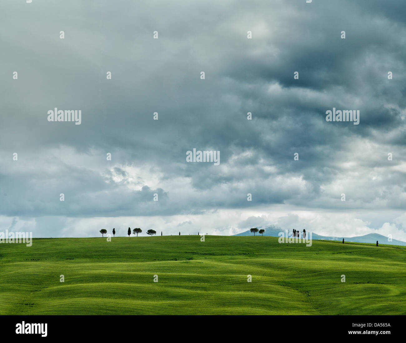 Torrenieri, Italy, Europe, Tuscany, Toscana, fields, scenery, green ...