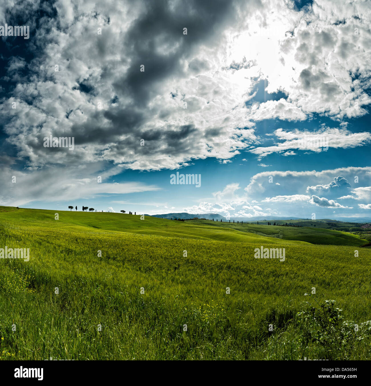 Torrenieri, Italy, Europe, Tuscany, Toscana, fields, scenery, green ...