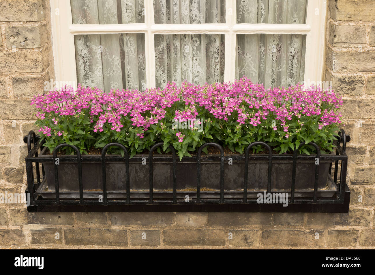 Window box flowers hi-res stock photography and images - Alamy