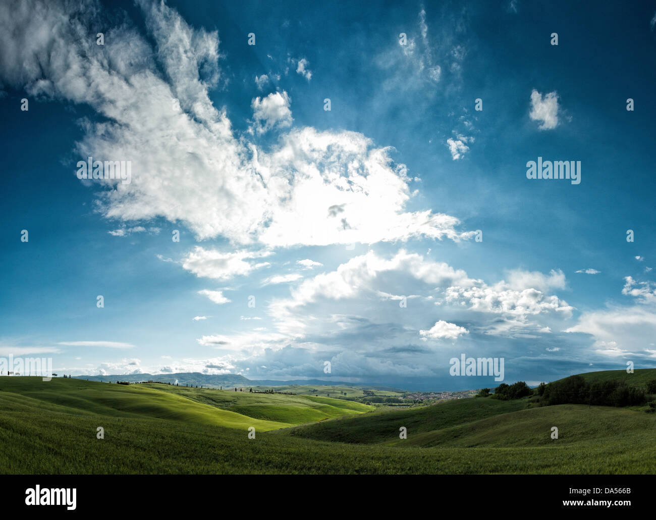 Torrenieri, Italy, Europe, Tuscany, Toscana, fields, scenery, green ...
