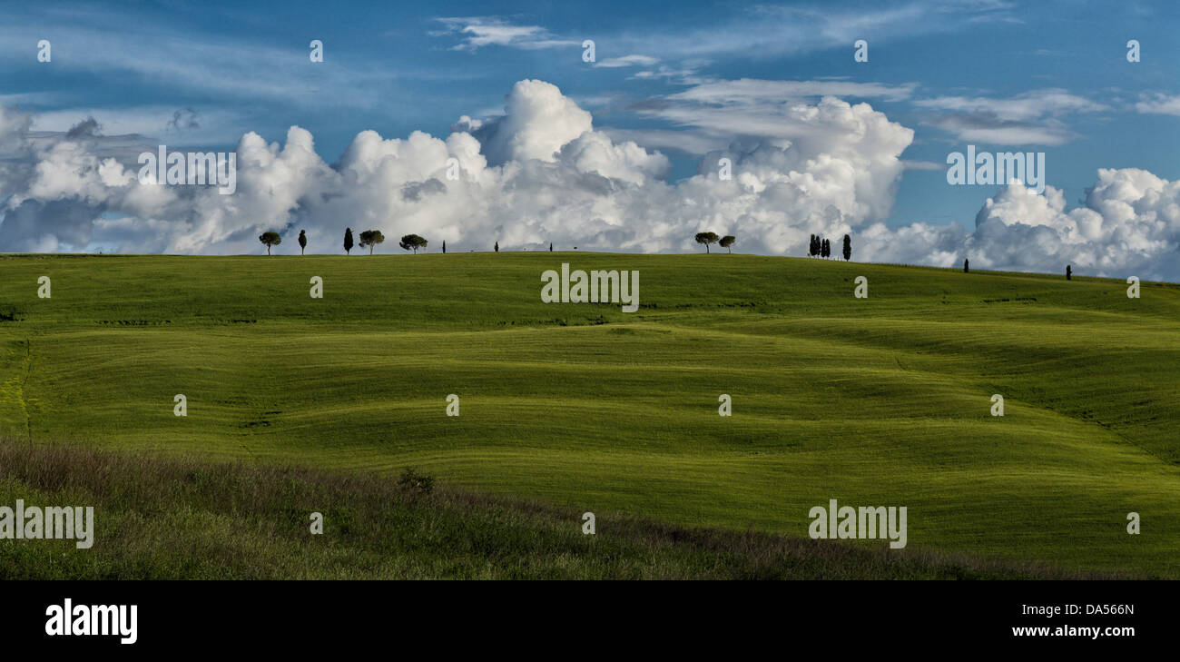 Torrenieri, Italy, Europe, Tuscany, Toscana, fields, scenery, green ...