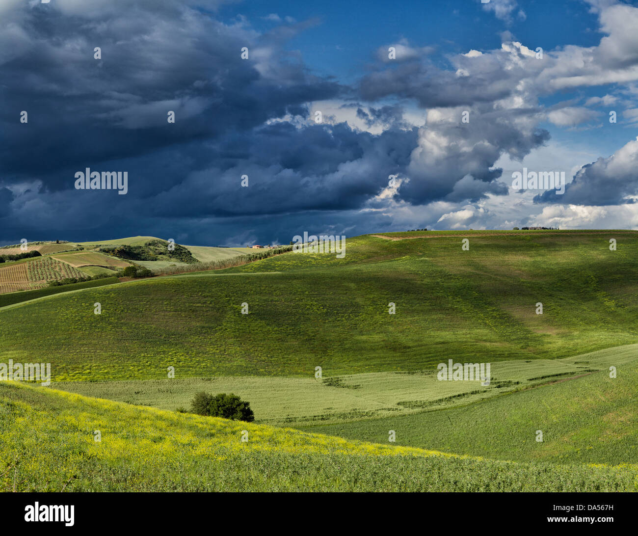 Torrenieri, Italy, Europe, Tuscany, Toscana, fields, scenery, green ...