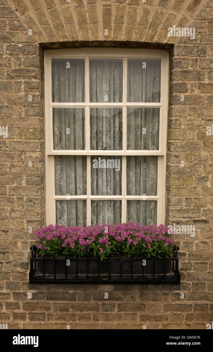 Sash window and window box Stock Photo - Alamy