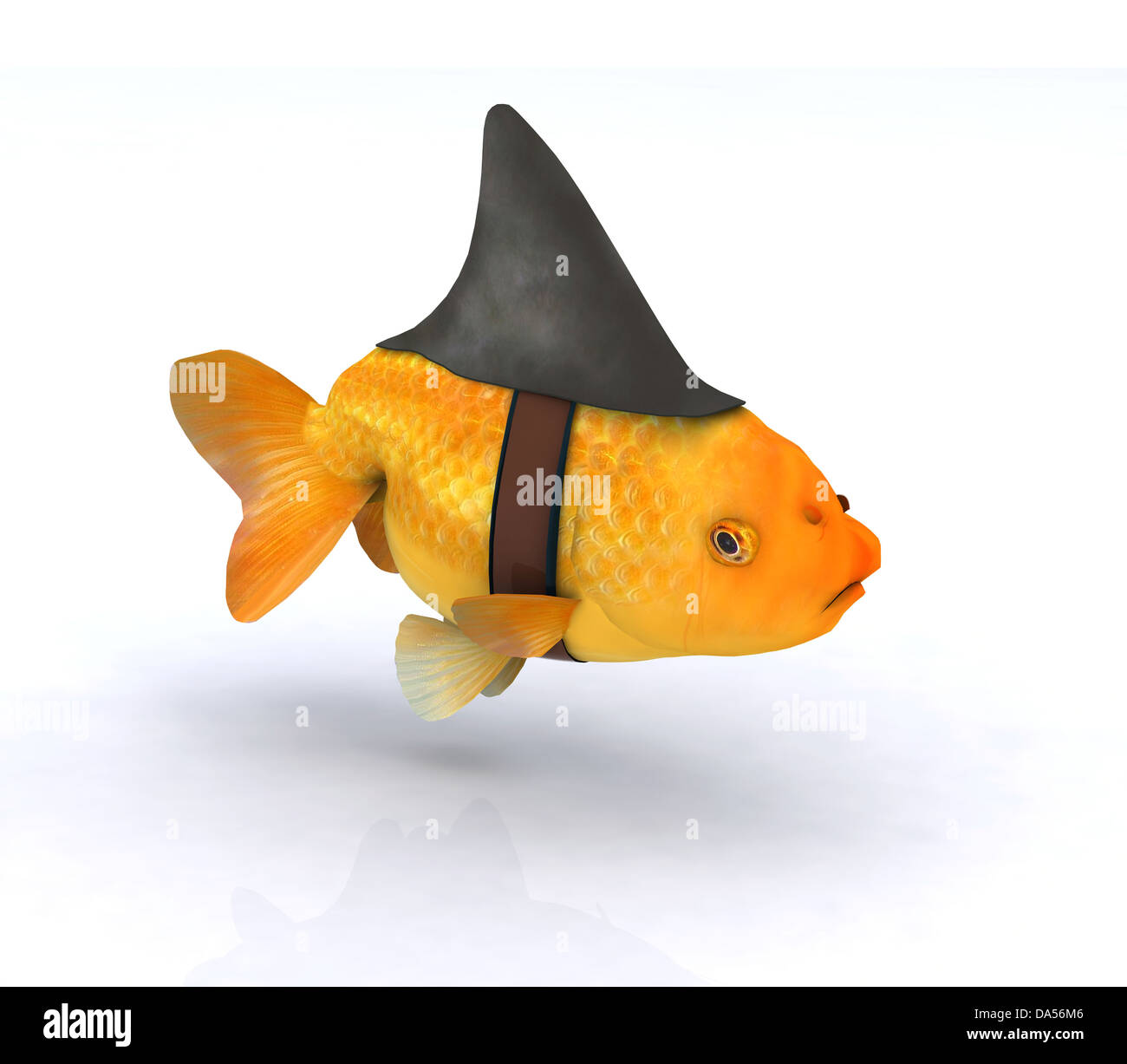 Indian redfish Cut Out Stock Images & Pictures - Alamy