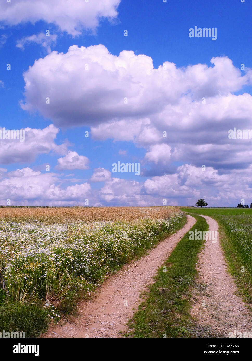 Germany, Upper Palatinate, fields, way, country lane, meadows ...
