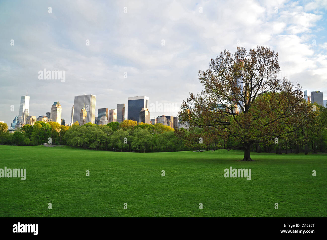 Central Park in NYC Stock Photo - Alamy