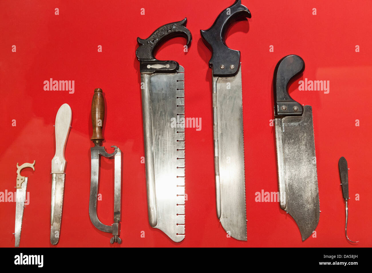 England, London, Euston, The Welcome Collection Museum, Display of ...