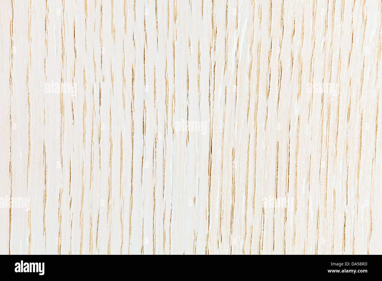 White Ash Wood Texture