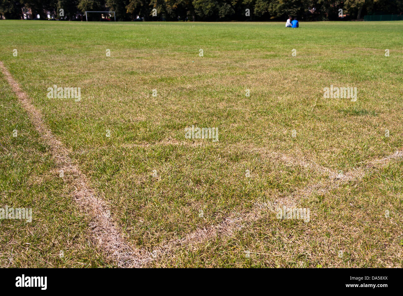 Football pitch view from the corner marker Stock Photo - Alamy