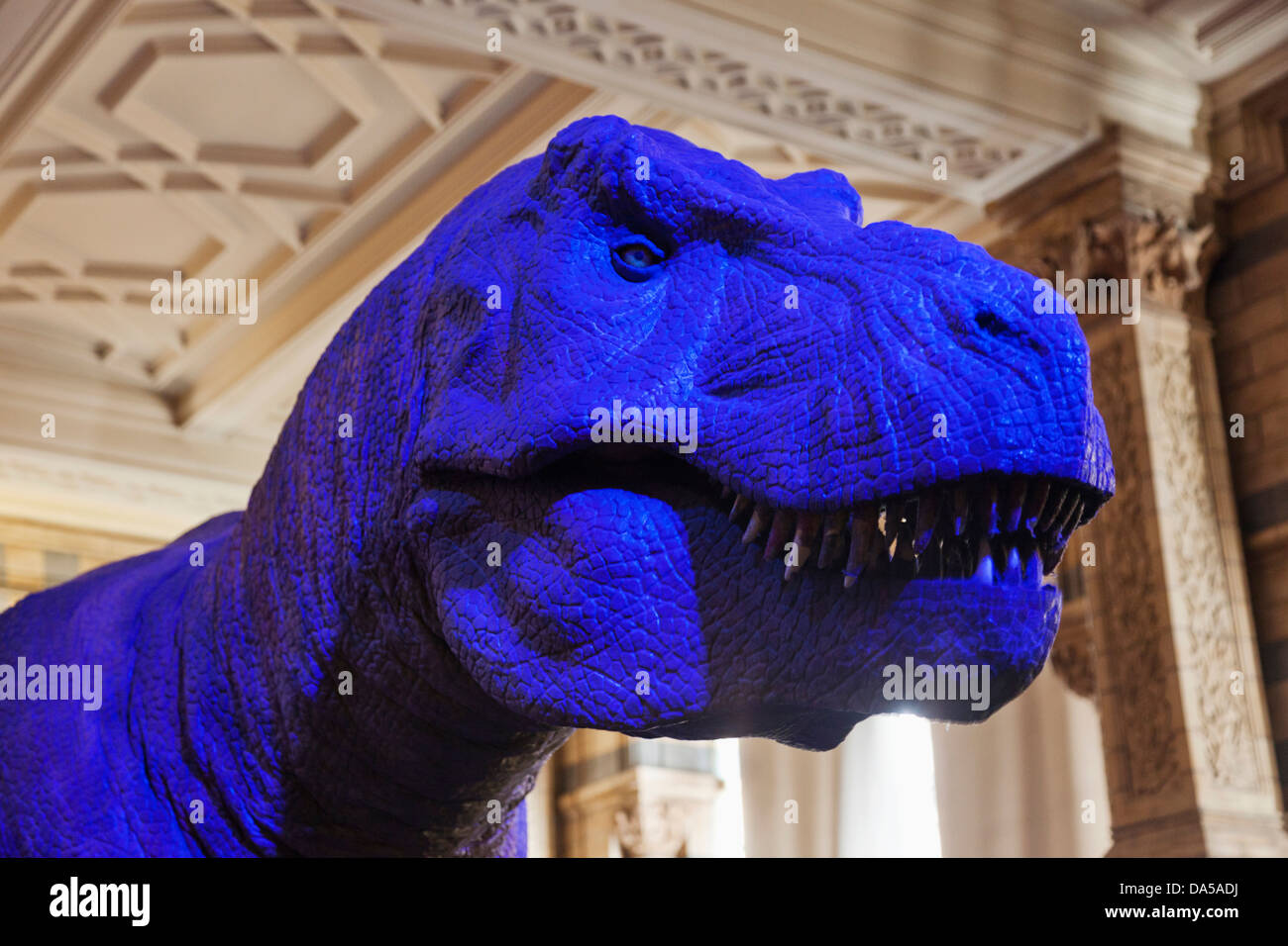England, London, Kensington, Natural History Museum, T-Rex Dinosaur ...