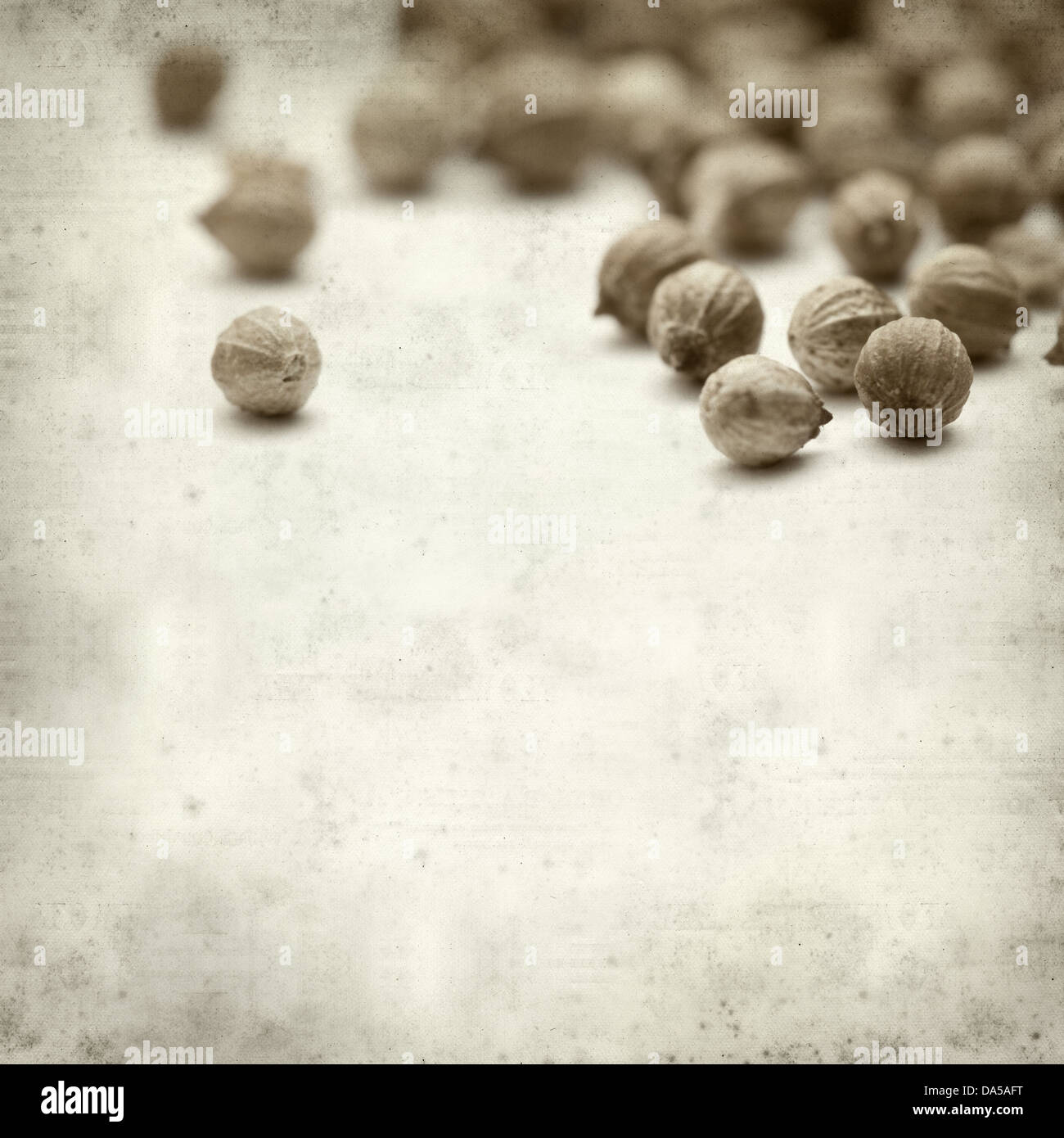 textured old paper background with coriander seeds Stock Photo - Alamy