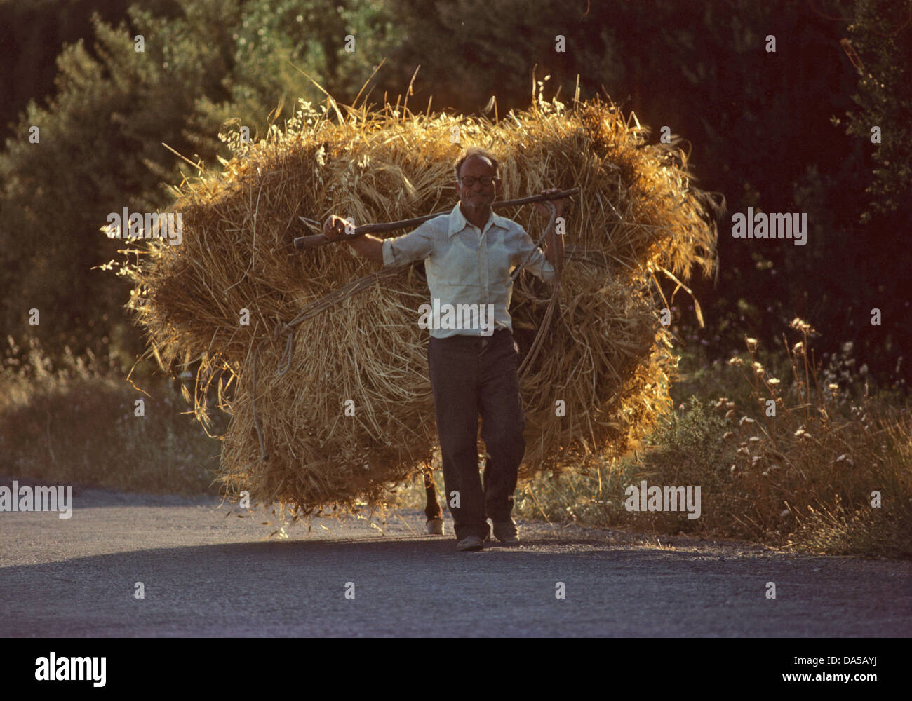 Messara plain hi-res stock photography and images - Alamy