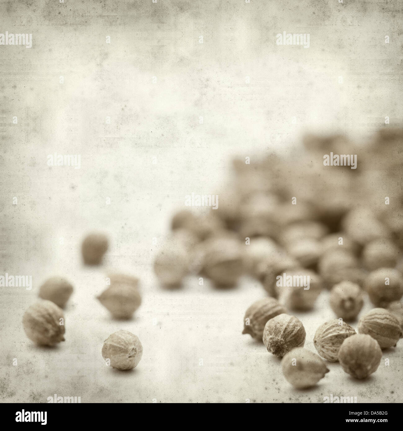 textured old paper background with coriander seeds Stock Photo - Alamy