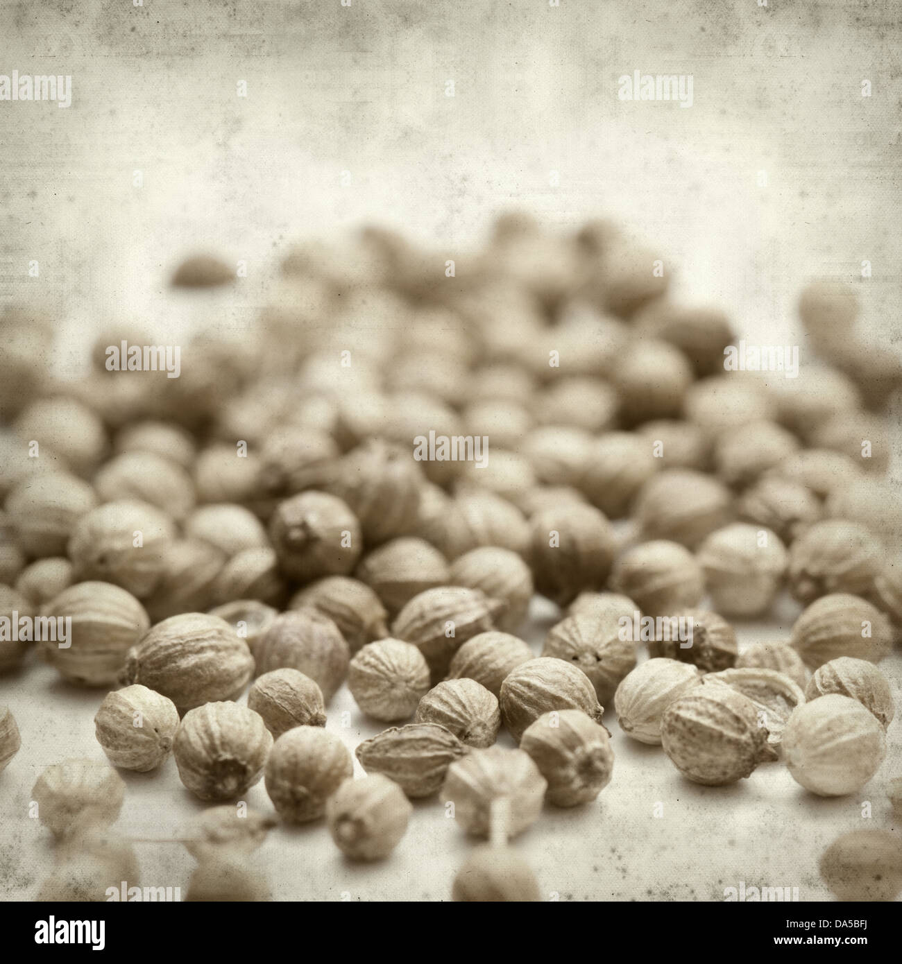 textured old paper background with coriander seeds Stock Photo - Alamy