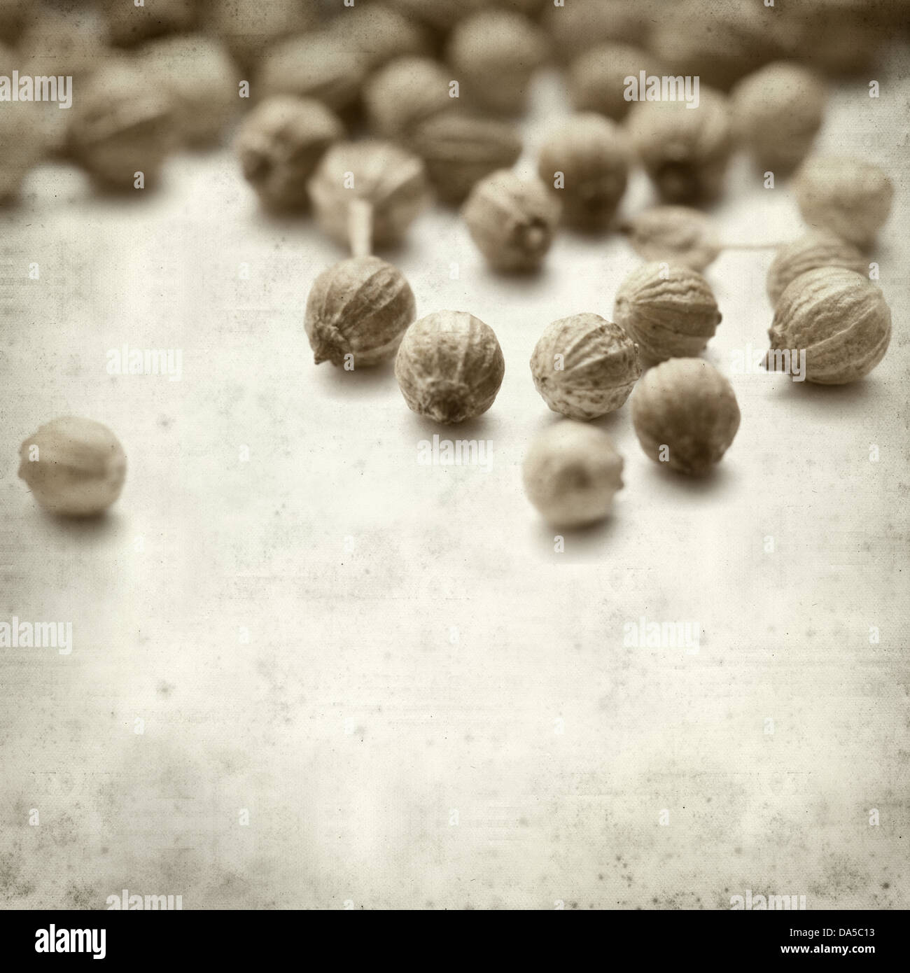 textured old paper background with coriander seeds Stock Photo - Alamy