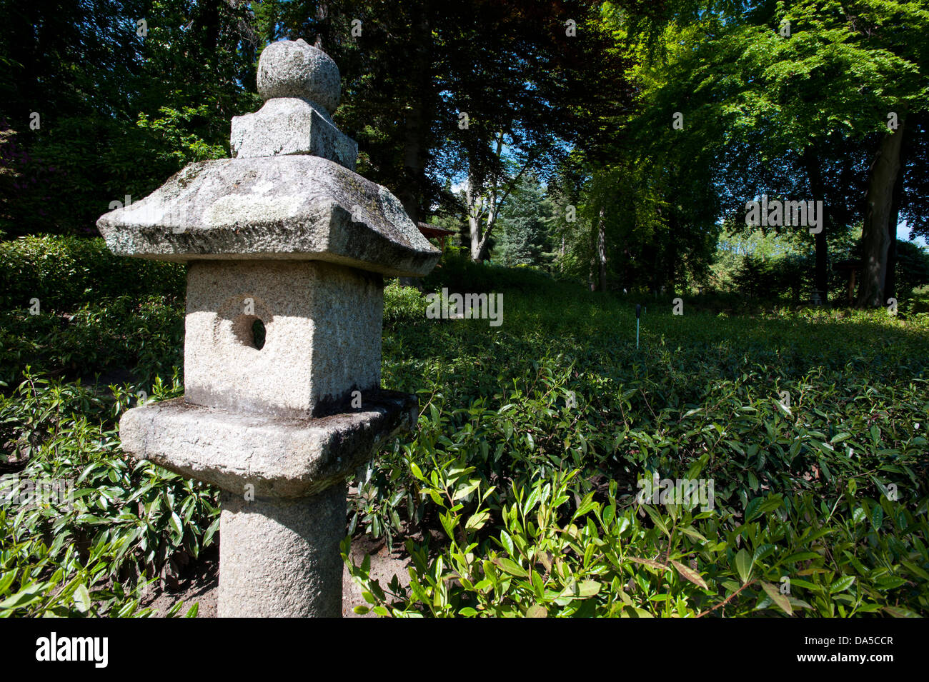 Monte verita hi-res stock photography and images - Alamy