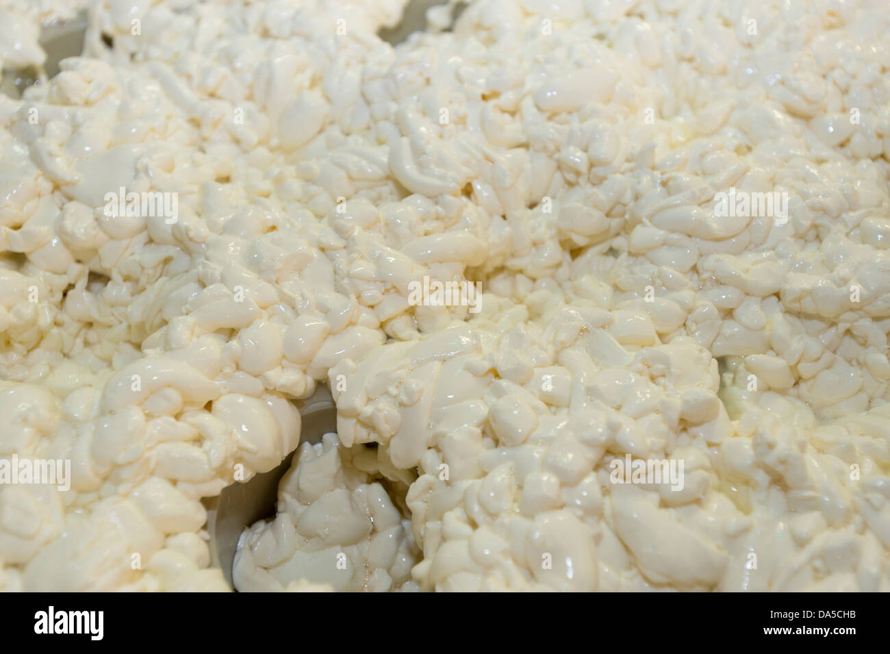 Switzerland, Europe, Vaud, Saint George, food, cheese, tradition ...