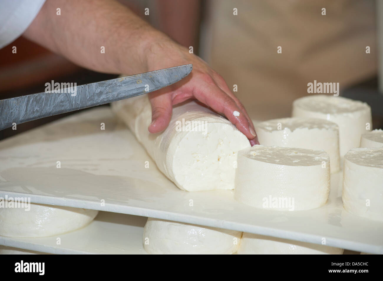 Switzerland, Europe, Vaud, Saint George, food, cheese, tradition ...