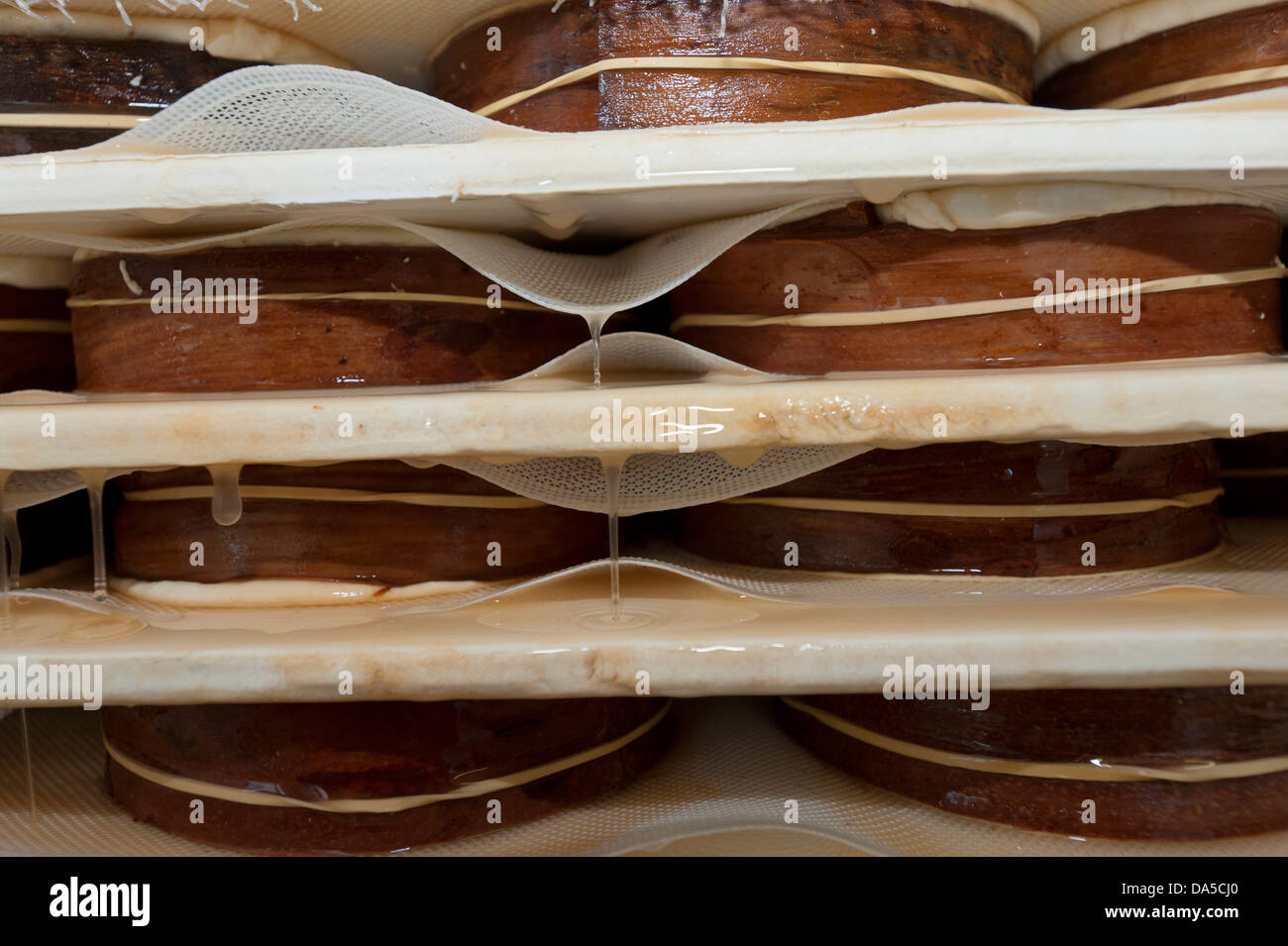 Switzerland, Europe, Vaud, Saint George, food, cheese, tradition ...