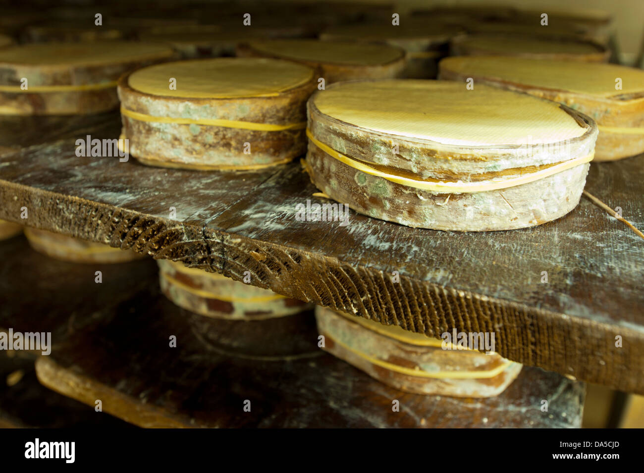 Switzerland, Europe, Vaud, Saint George, food, cheese, tradition ...