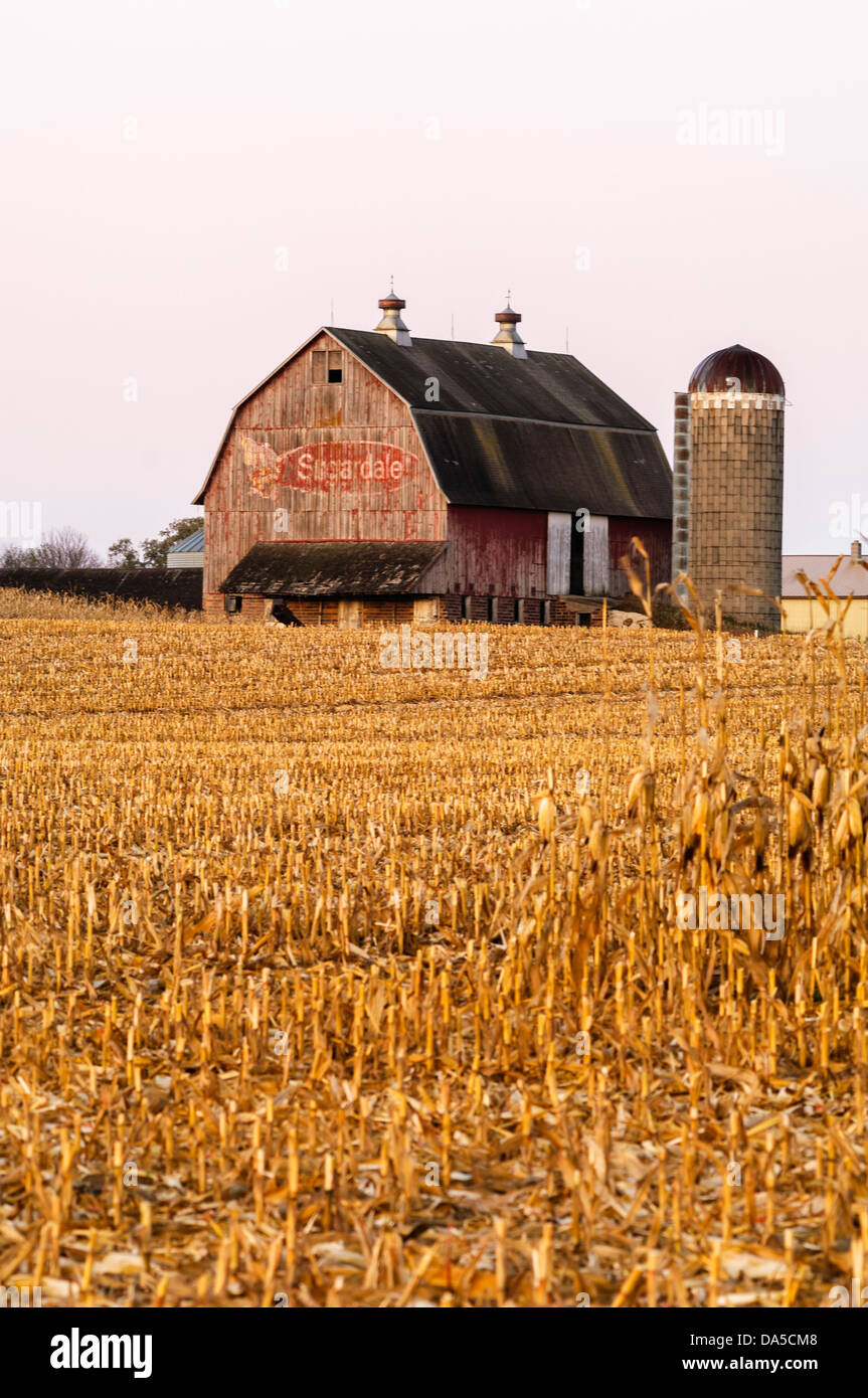 Farm Field Barn