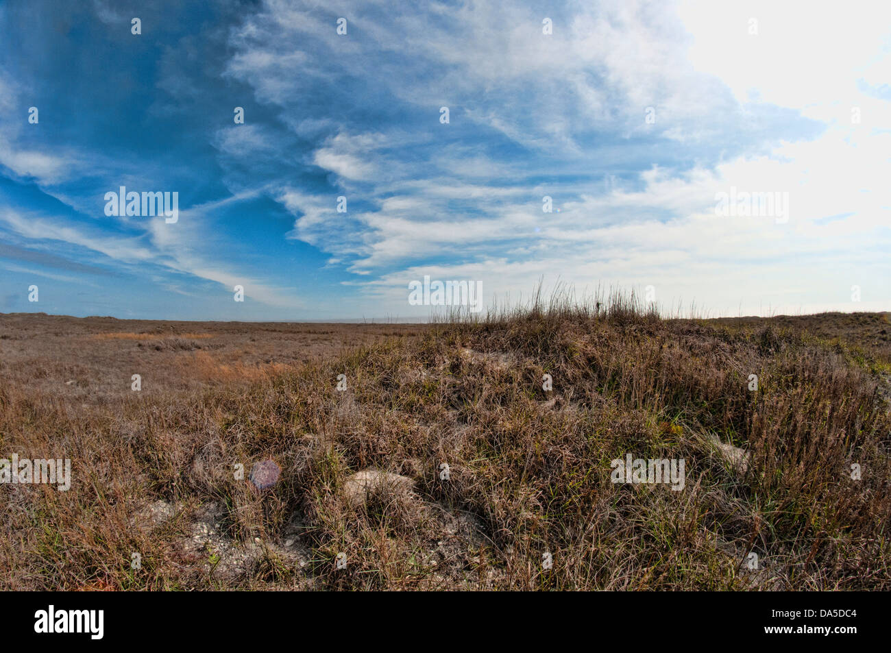 Padre island national seashore hi-res stock photography and images - Alamy