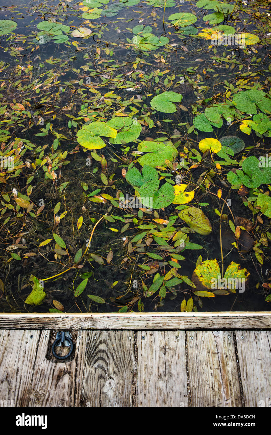 Lake dock minnesota hi-res stock photography and images - Alamy