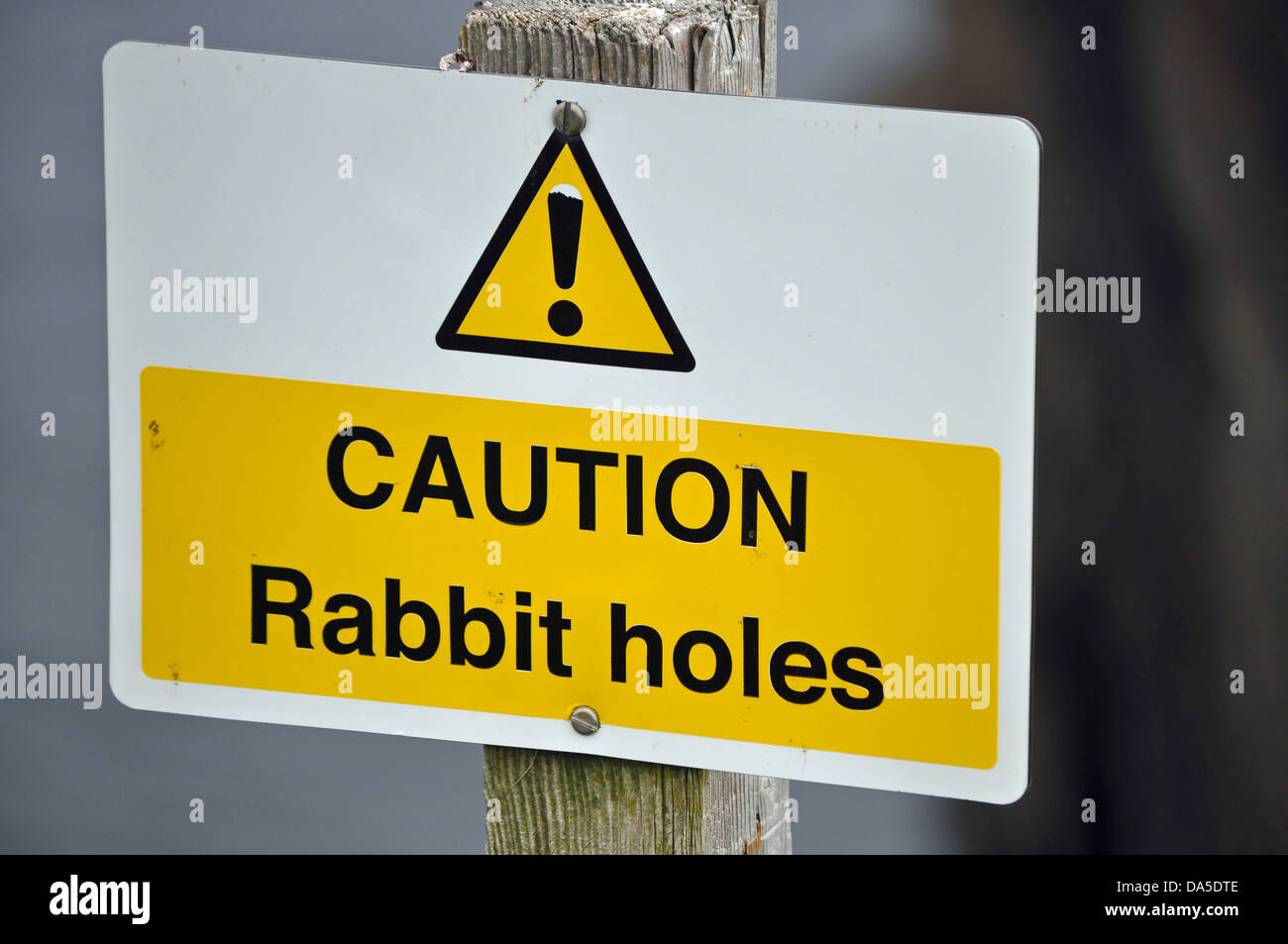 Sign warning of rabbit holes on the Orkney Islands Stock Photo - Alamy