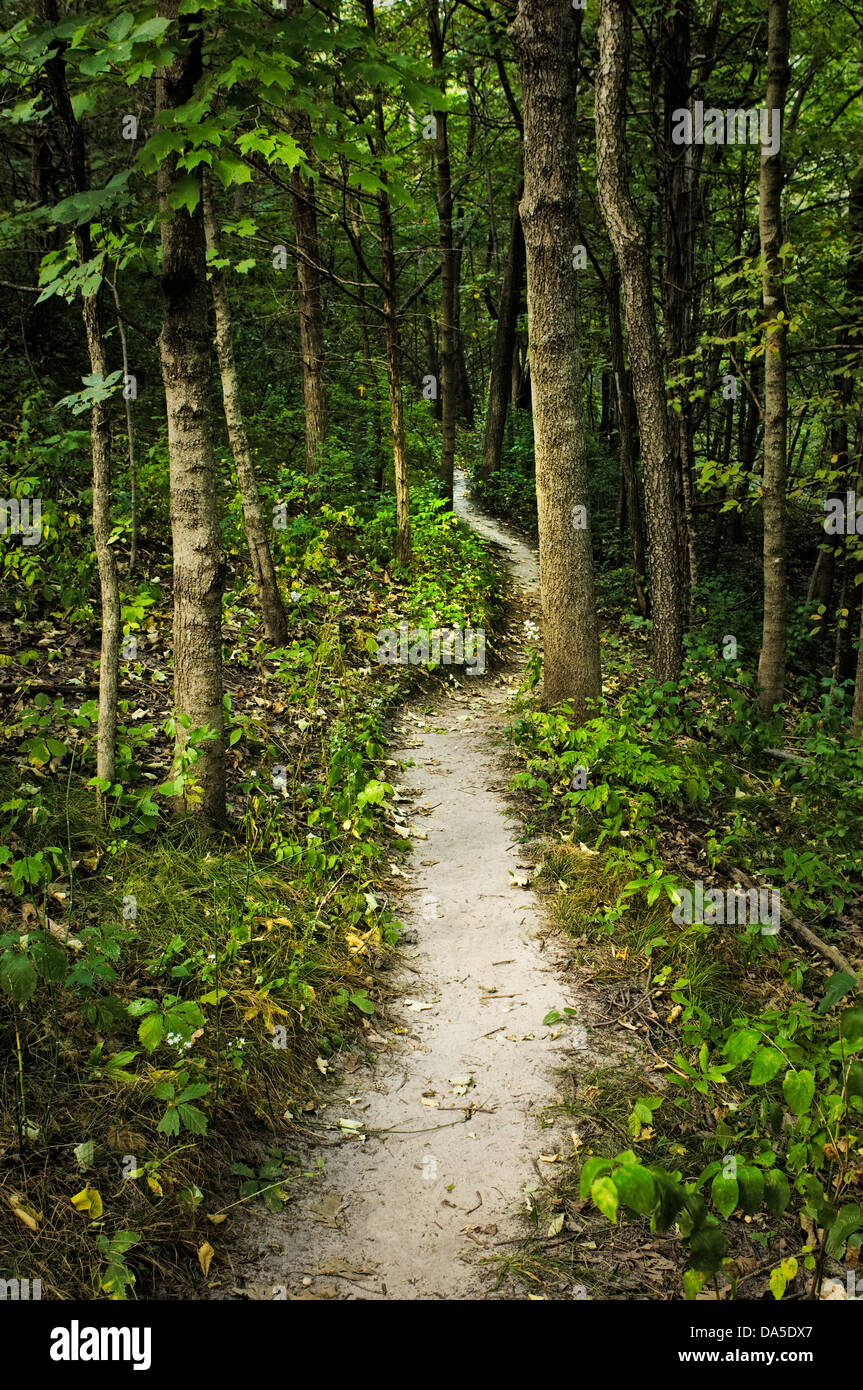 Central green trail hi-res stock photography and images - Alamy
