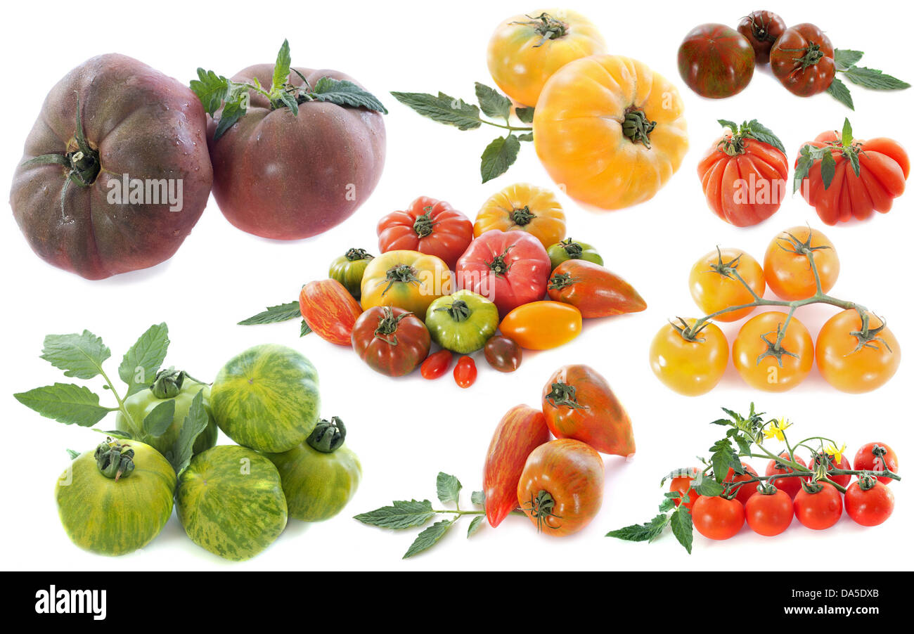ancient varieties of tomatoes in front of white background Stock Photo ...