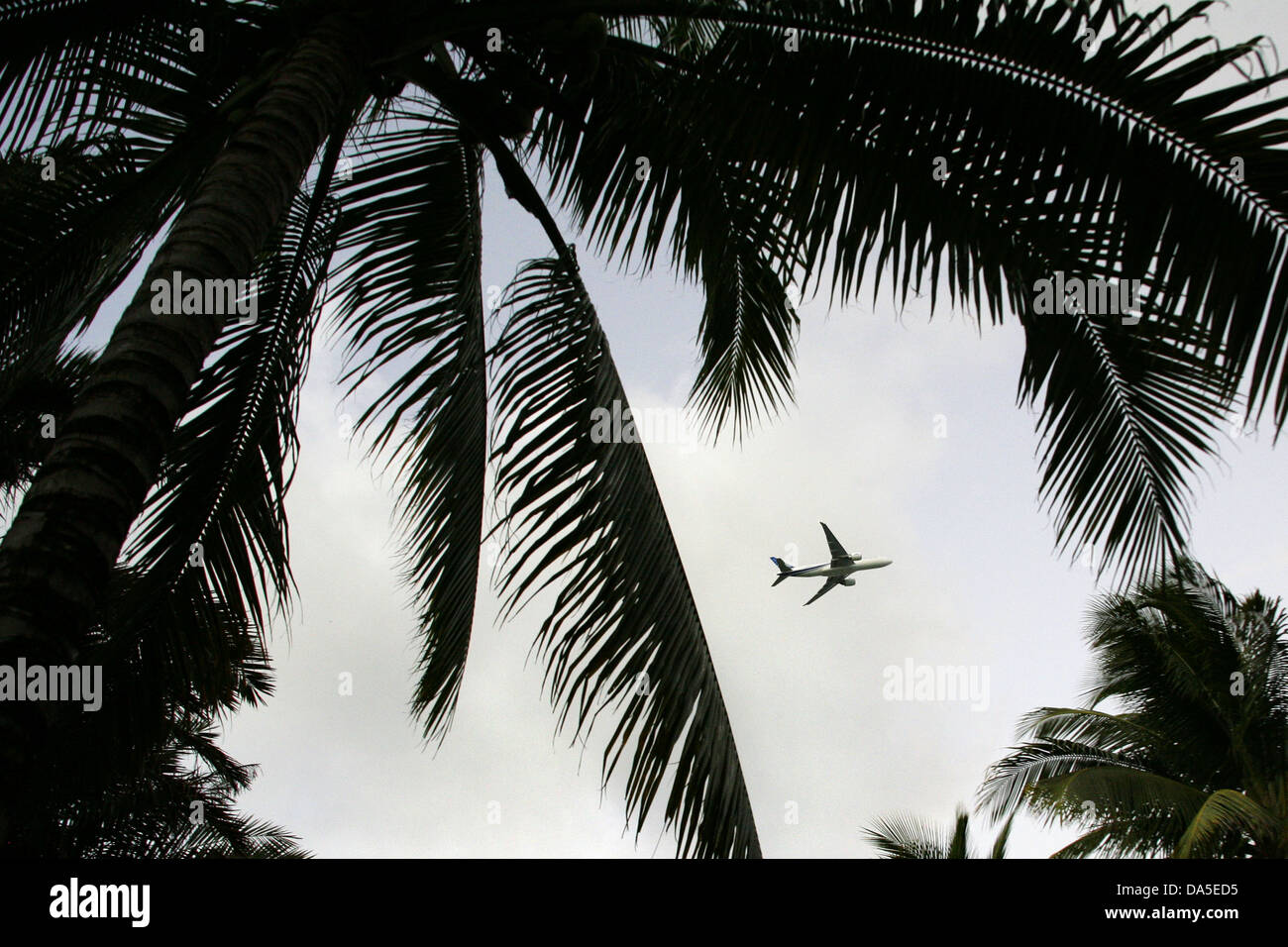 Flying off tree hi-res stock photography and images - Alamy