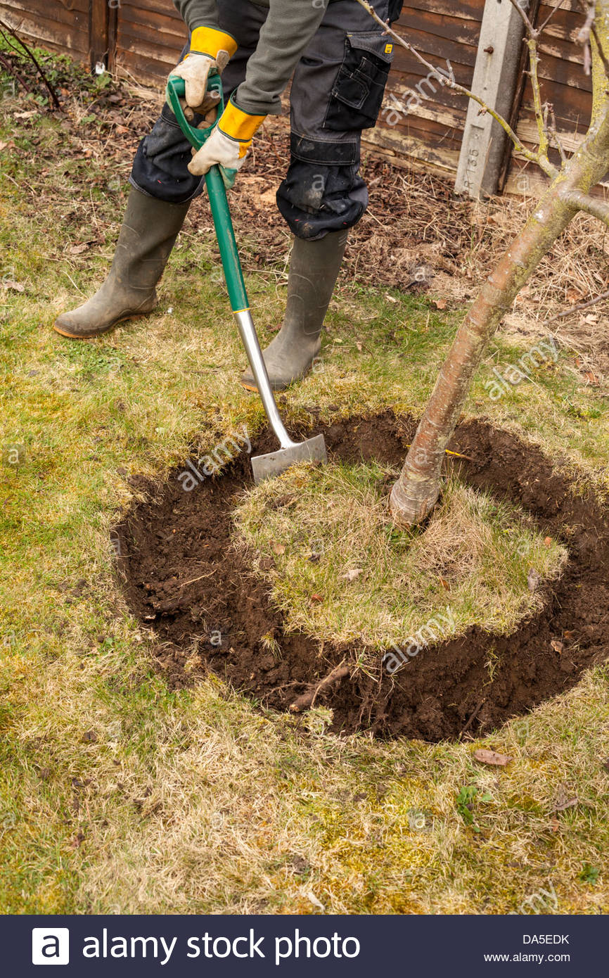 Digging A Trench High Resolution Stock Photography and Images - Alamy