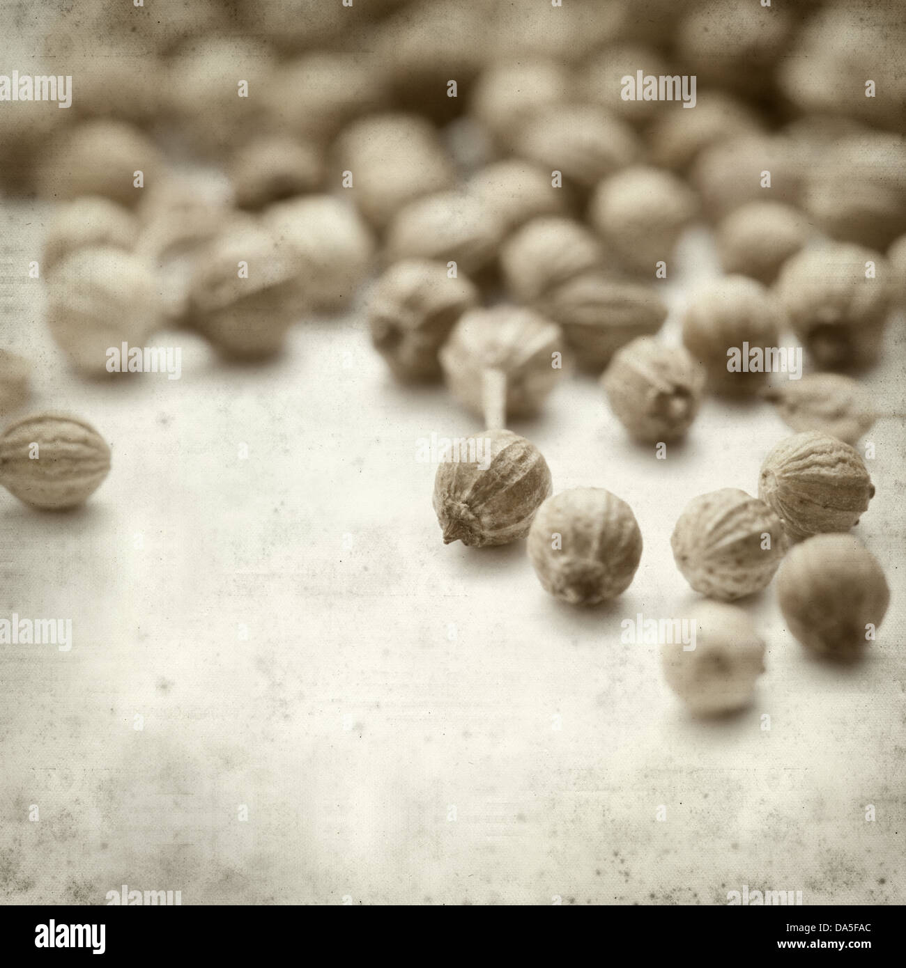 textured old paper background with coriander seeds Stock Photo - Alamy