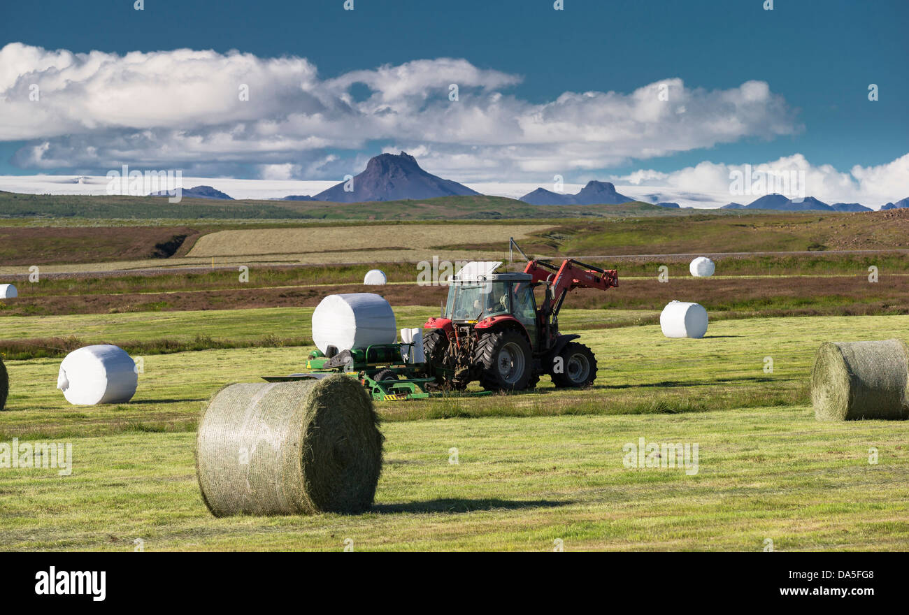 Hay making hi-res stock photography and images - Alamy