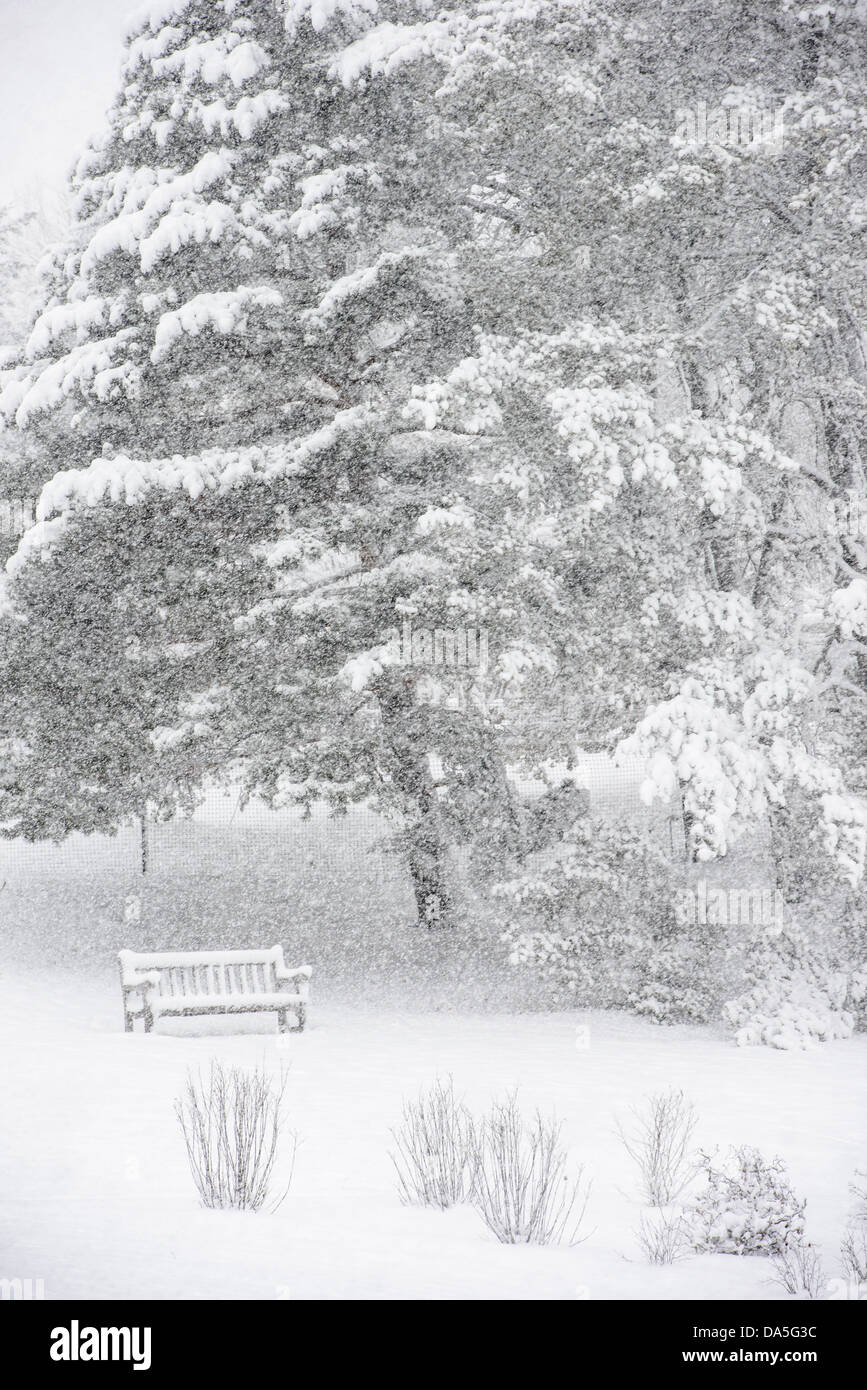 Snow covered landscape with bench during heavy snowfall Stock Photo - Alamy