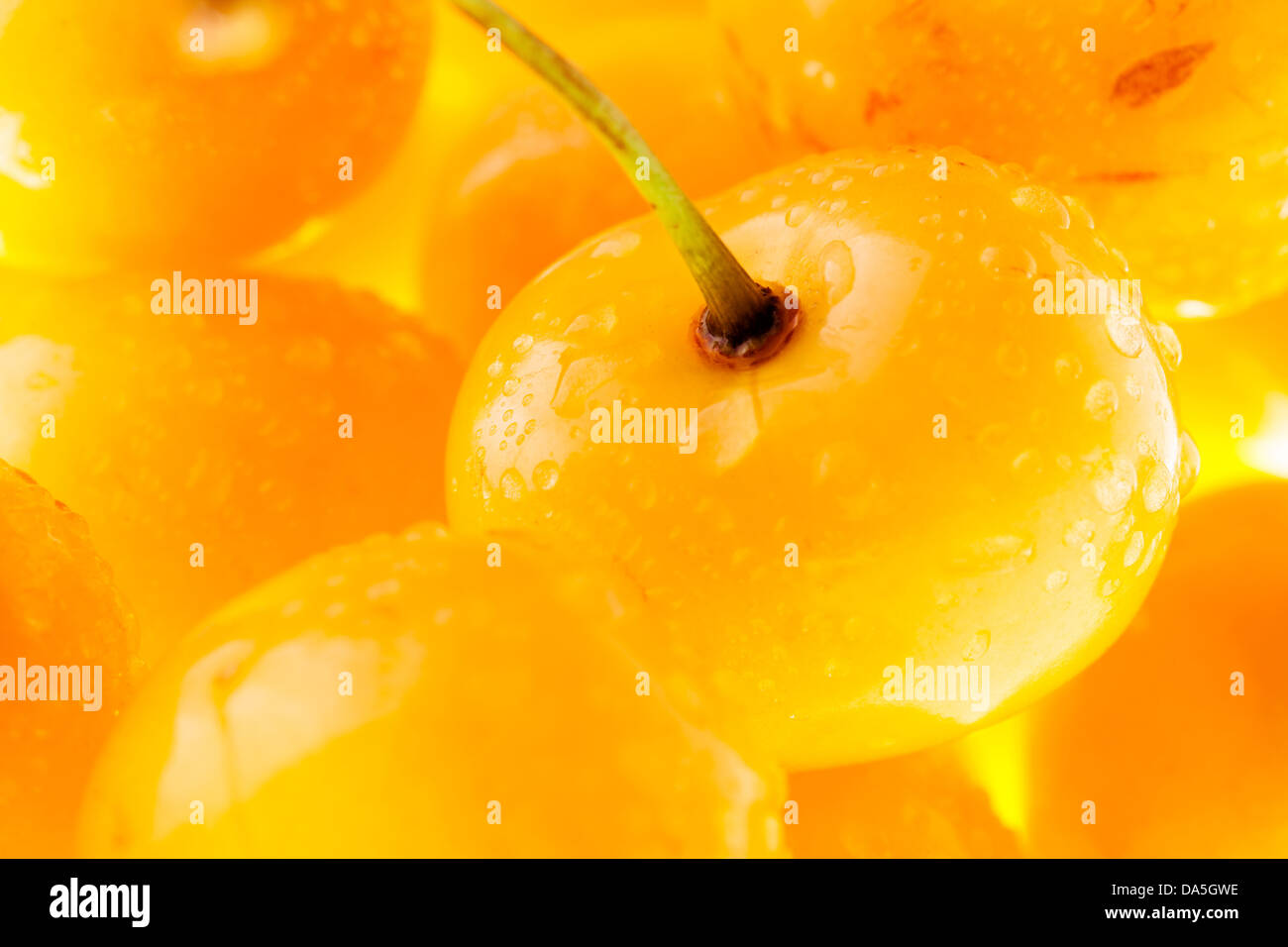 Cherry yellow hi-res stock photography and images - Alamy