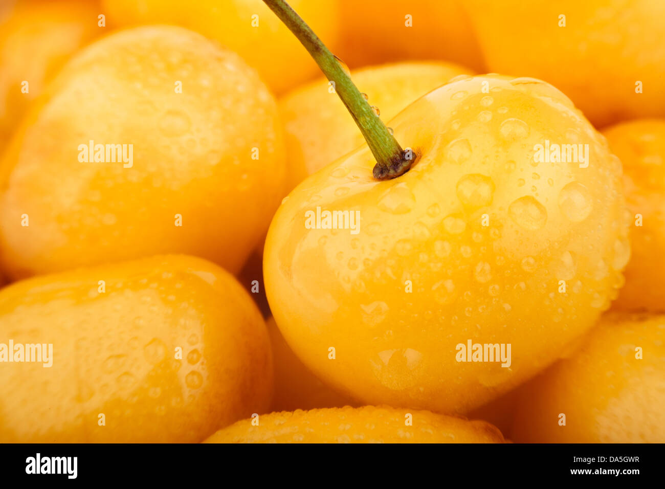 Cherry yellow hi-res stock photography and images - Alamy