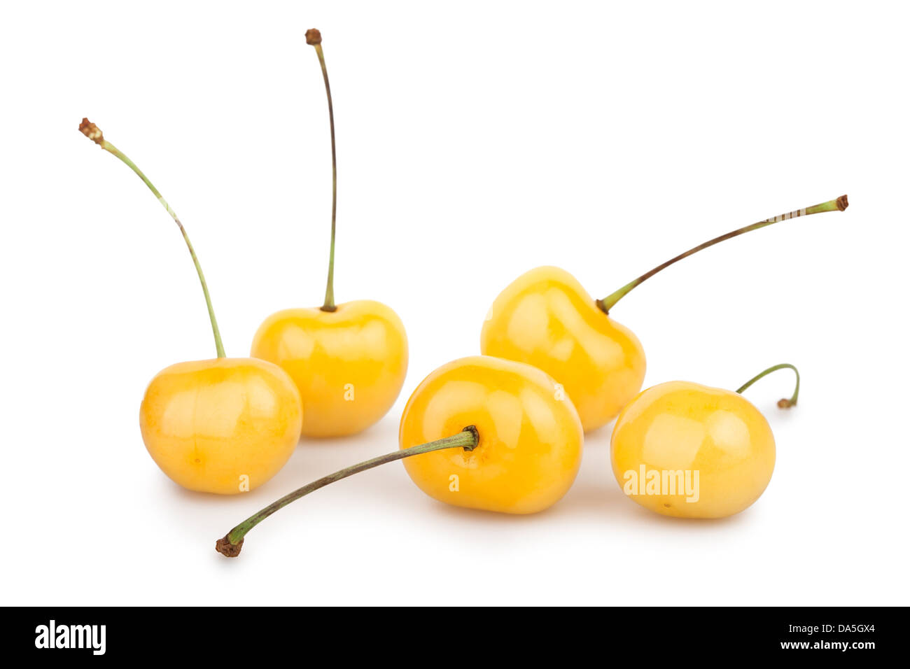 cherry yellow group on white background Stock Photo - Alamy