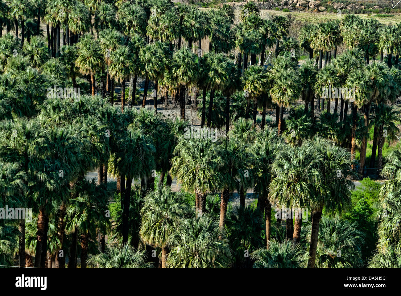 moapa valley, national, wildlife, refuge, Nevada, oasis, USA, United ...
