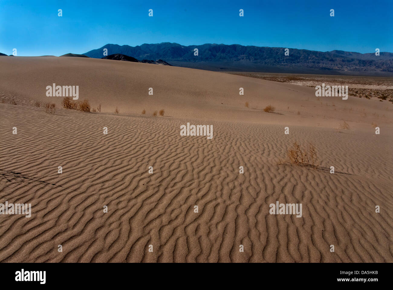 ibex dunes, death valley, national, park, California, dunes, desert ...