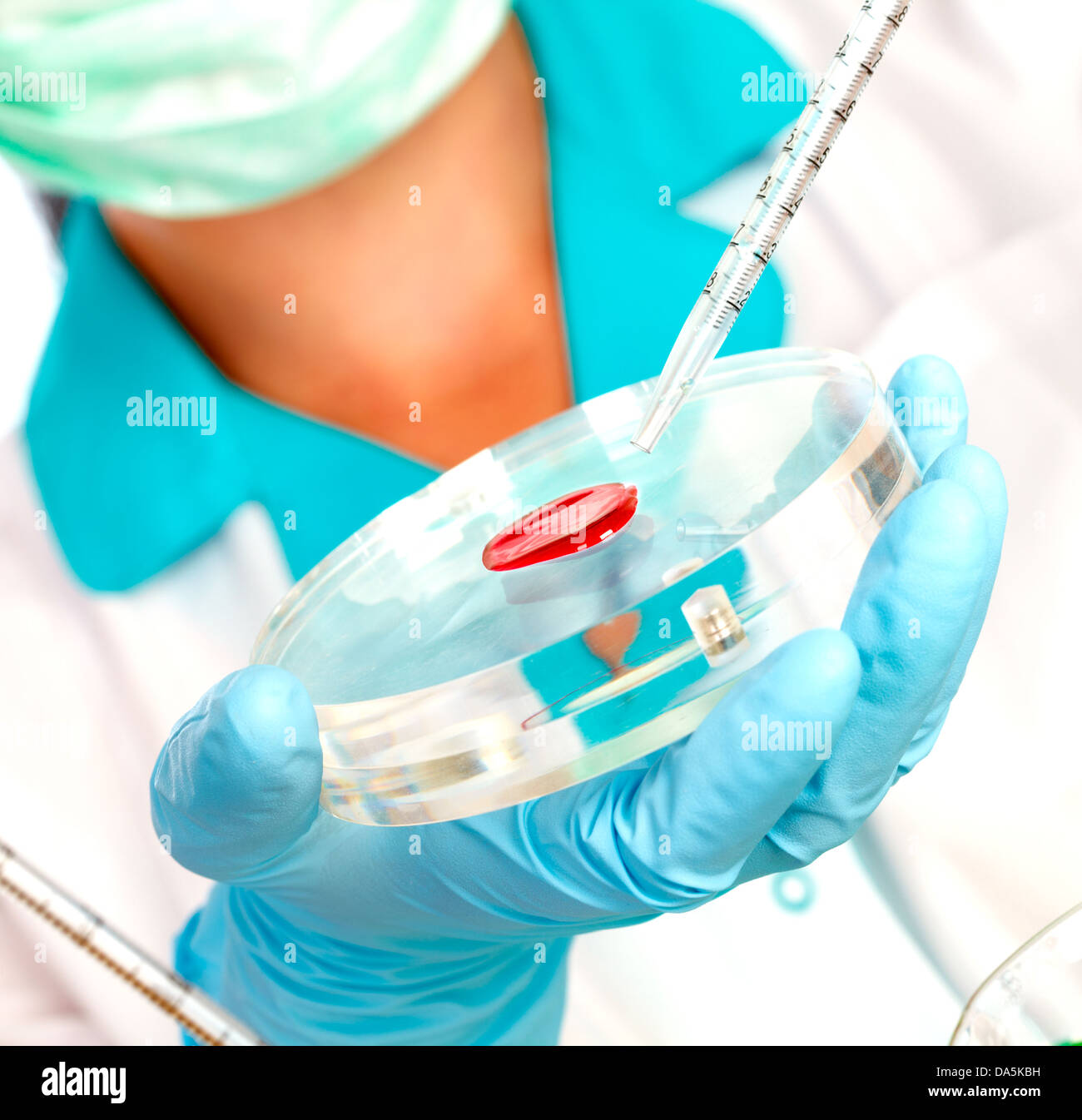 hand doc holds the test for blood Stock Photo - Alamy