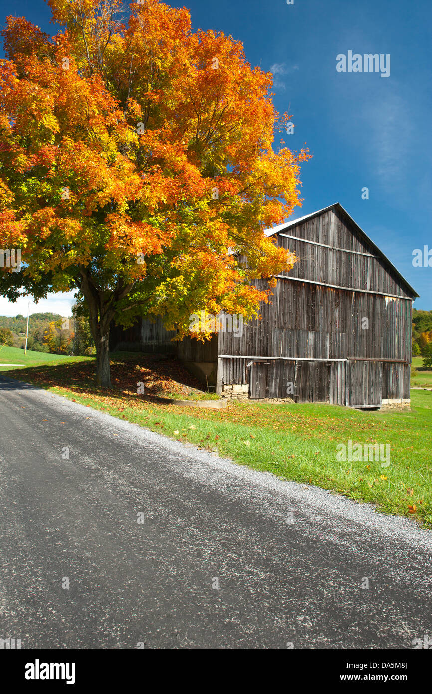 FALL FOLIAGE COUNTRY ROAD INDIANA COUNTY PENNSYLVANIA USA Stock Photo ...