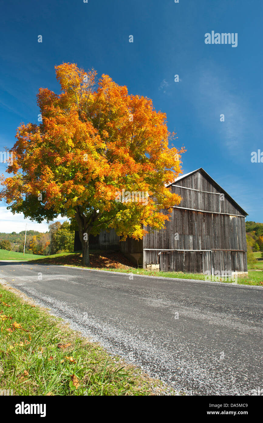 Indiana autumn hi-res stock photography and images - Alamy