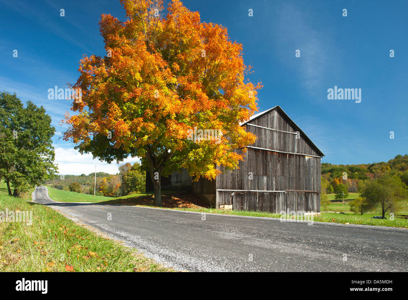 FALL FOLIAGE COUNTRY ROAD INDIANA COUNTY PENNSYLVANIA USA Stock Photo ...