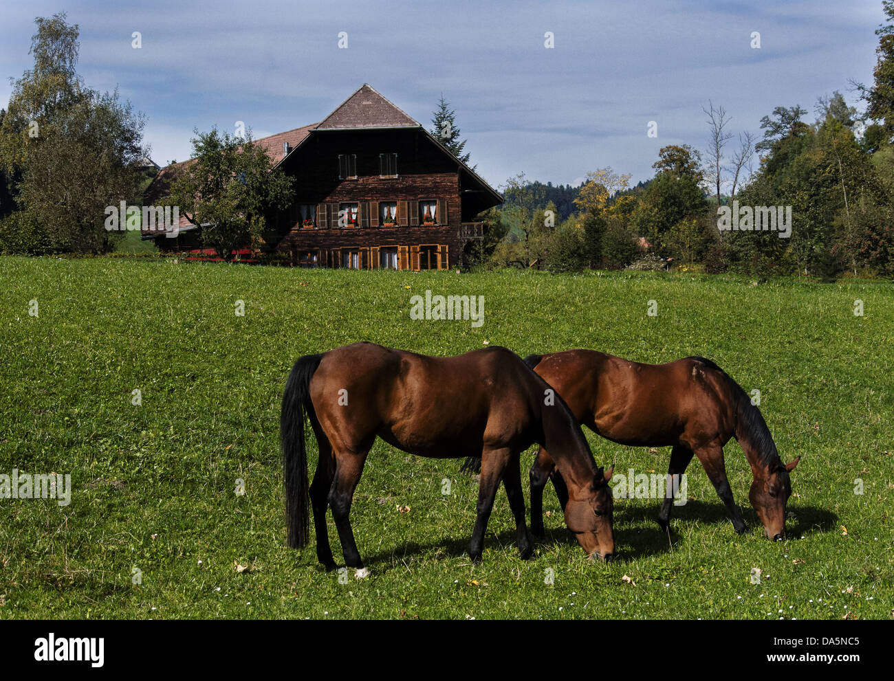 Farmhouse And Horses High Resolution Stock Photography and Images - Alamy