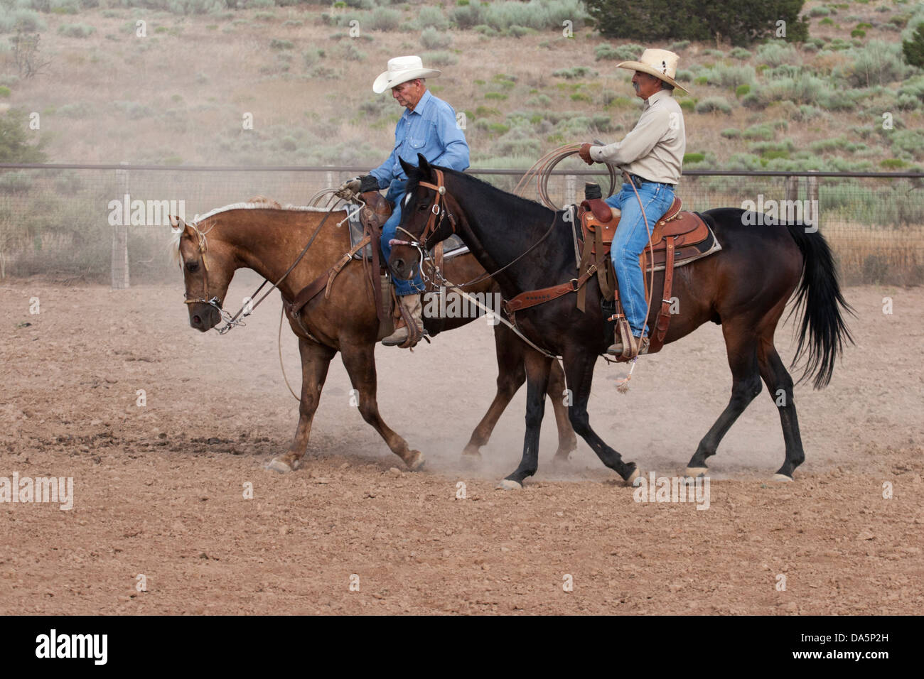 Cowboys On Horses High Resolution Stock Photography and Images - Alamy