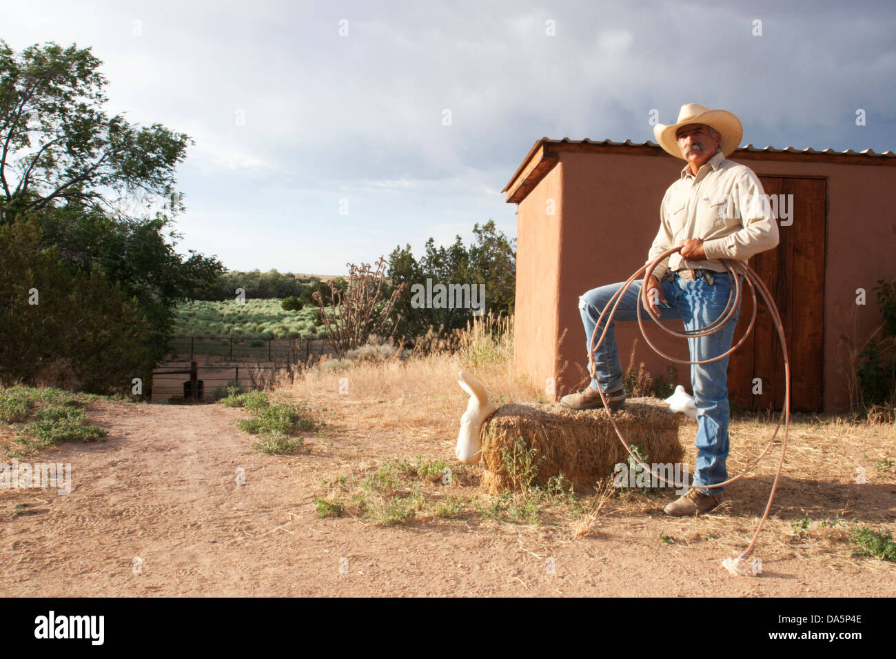 Man lariat standing rope hi-res stock photography and images - Alamy