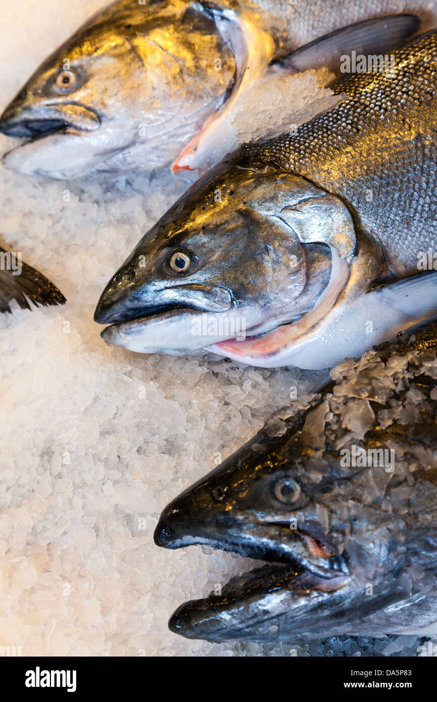 King salmon hi-res stock photography and images - Alamy