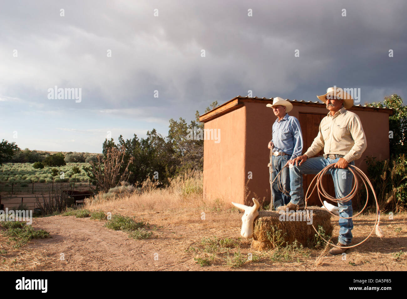 Two men with lassos and roping dummy steer head attached to a bale ...